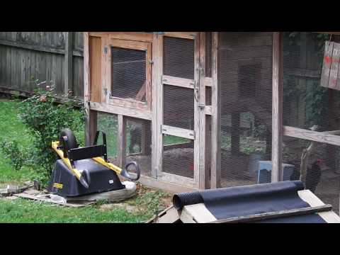 Sam getting her girls in line!