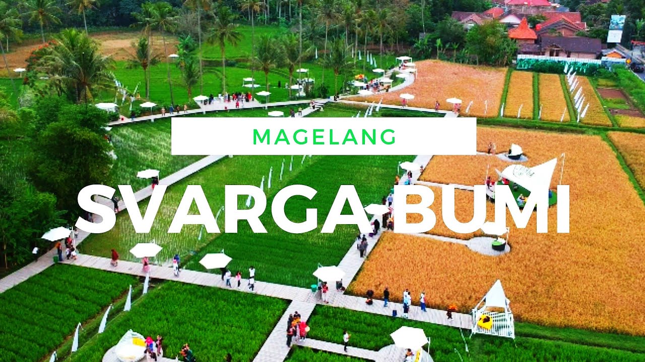 VIRAL!! WISATA SAWAH SVARGABUMI BOROBUDUR, Wisata terbaru Magelang ...