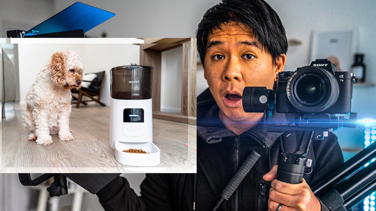 How to Film a Pet Commercial BY YOURSELF | Behind the Scenes - YouTube