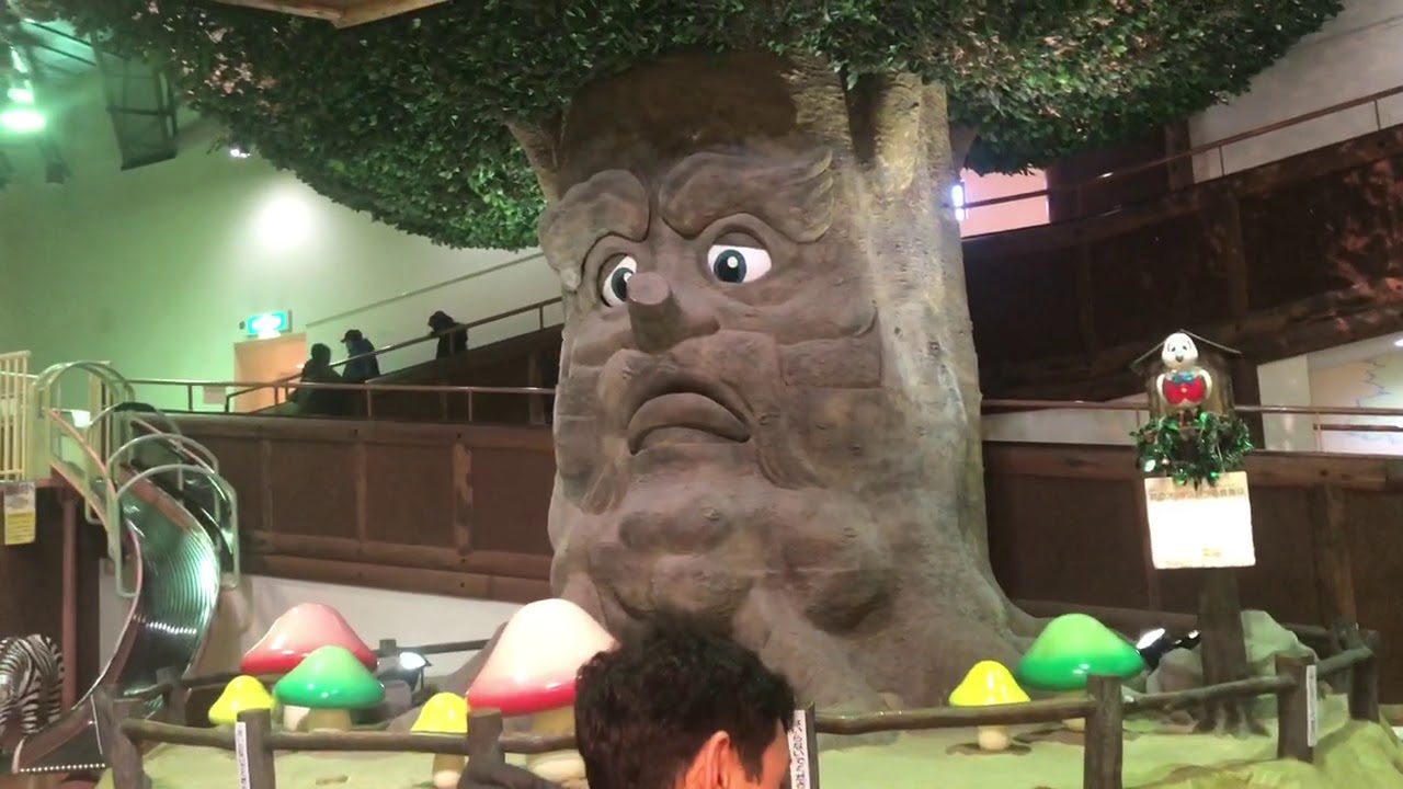 THE TALKING TREE || Zoo - YouTube