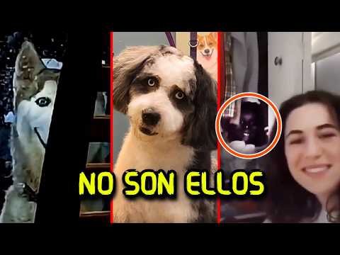 NO SON HUMANOS | 30 Casos de Mimics y Skinwalkers 💀
