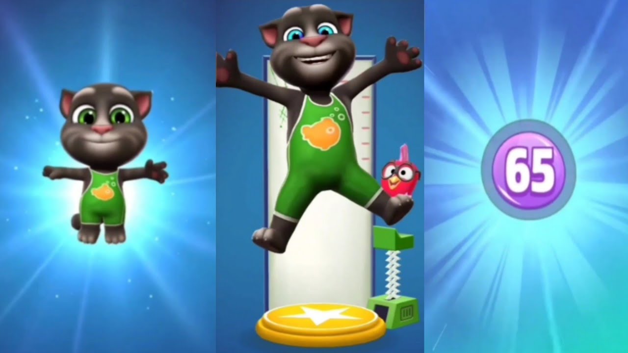 Happy Birthday Level 10 Vs Level 35 Vs Level 65 My Talking Tom 2 - YouTube