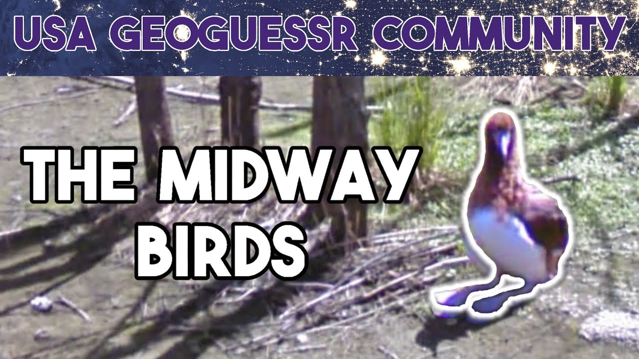The Midway Atoll Birds: USA Ranked Rally Leg 1 Highlights - YouTube