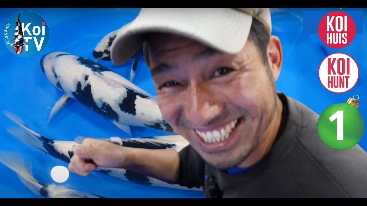 KoiHuis KoiHunt December 2024 deel 1 | Omosako - YouTube