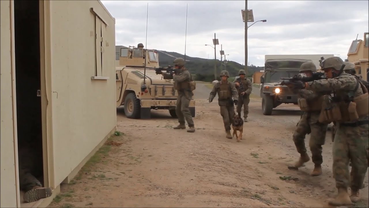 Marine Quick Reaction Force Trains to Neutralize Threat - YouTube