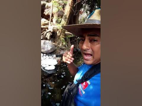 LA LEYENDA DE LA SIGUANABA EN EL SALVADOR - YouTube