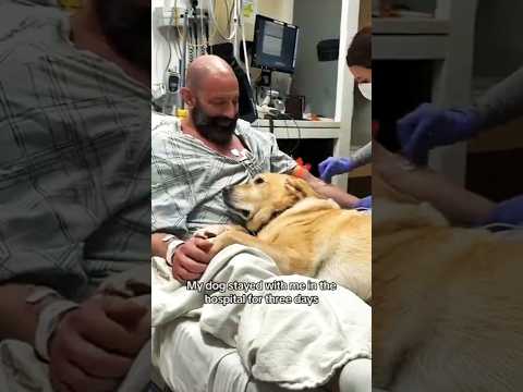 🐕💖 Dogs Who Stay Close Because They Love You