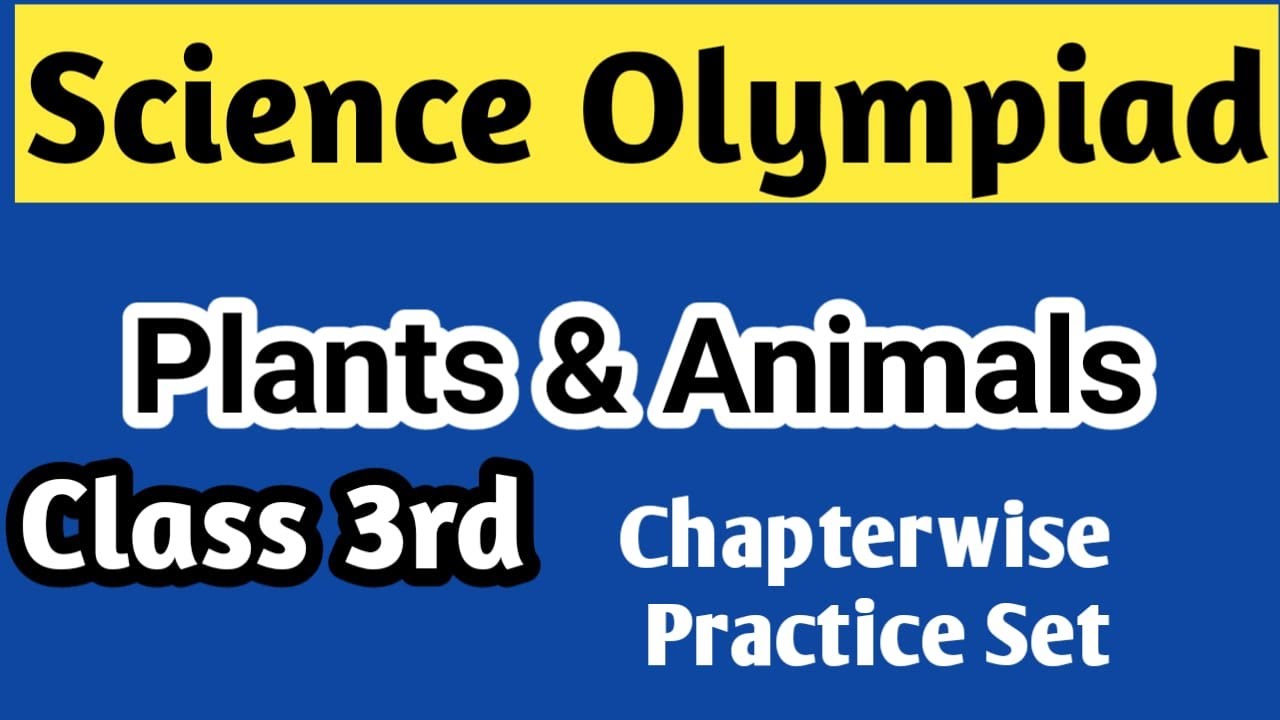 Class 3 Science Olympiad Question Answers for practice // Class 3 ...