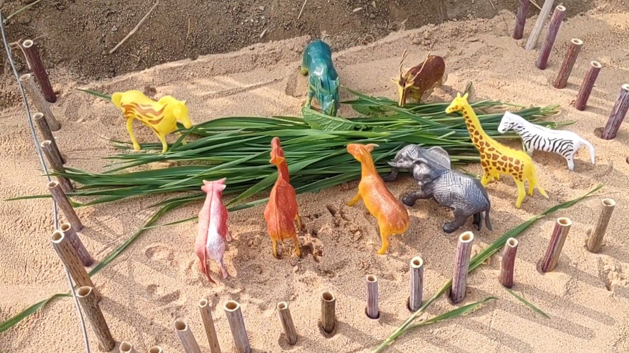 Zoo animals for/kids activities//zoo animals toys video (p 1) - YouTube
