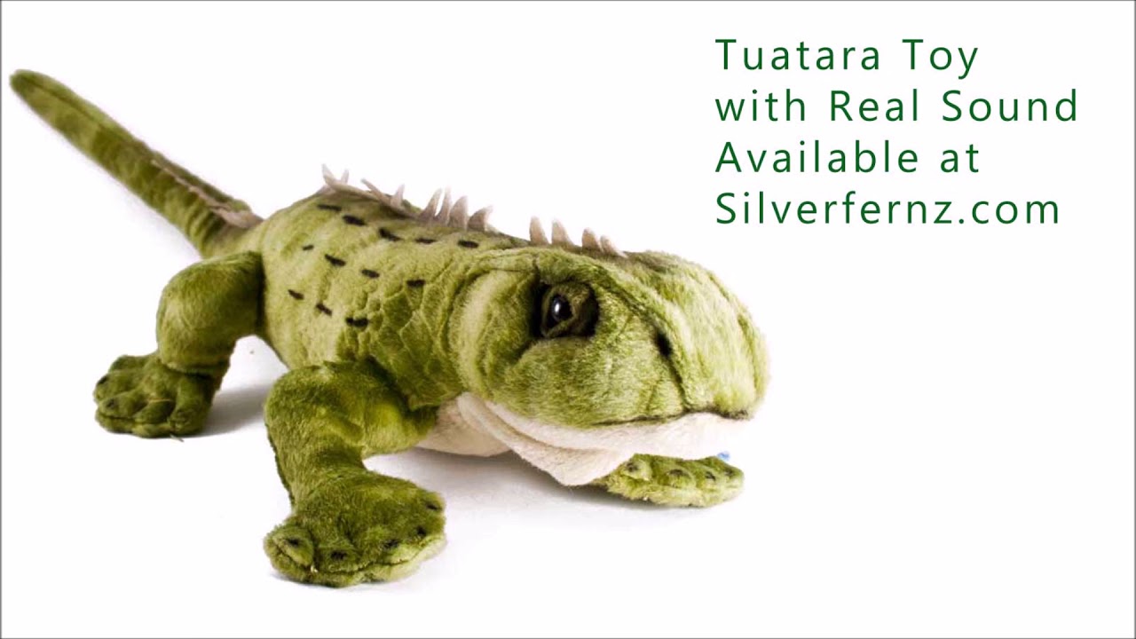 New Zealand Tuatara Soft Toy with Real Sound - YouTube