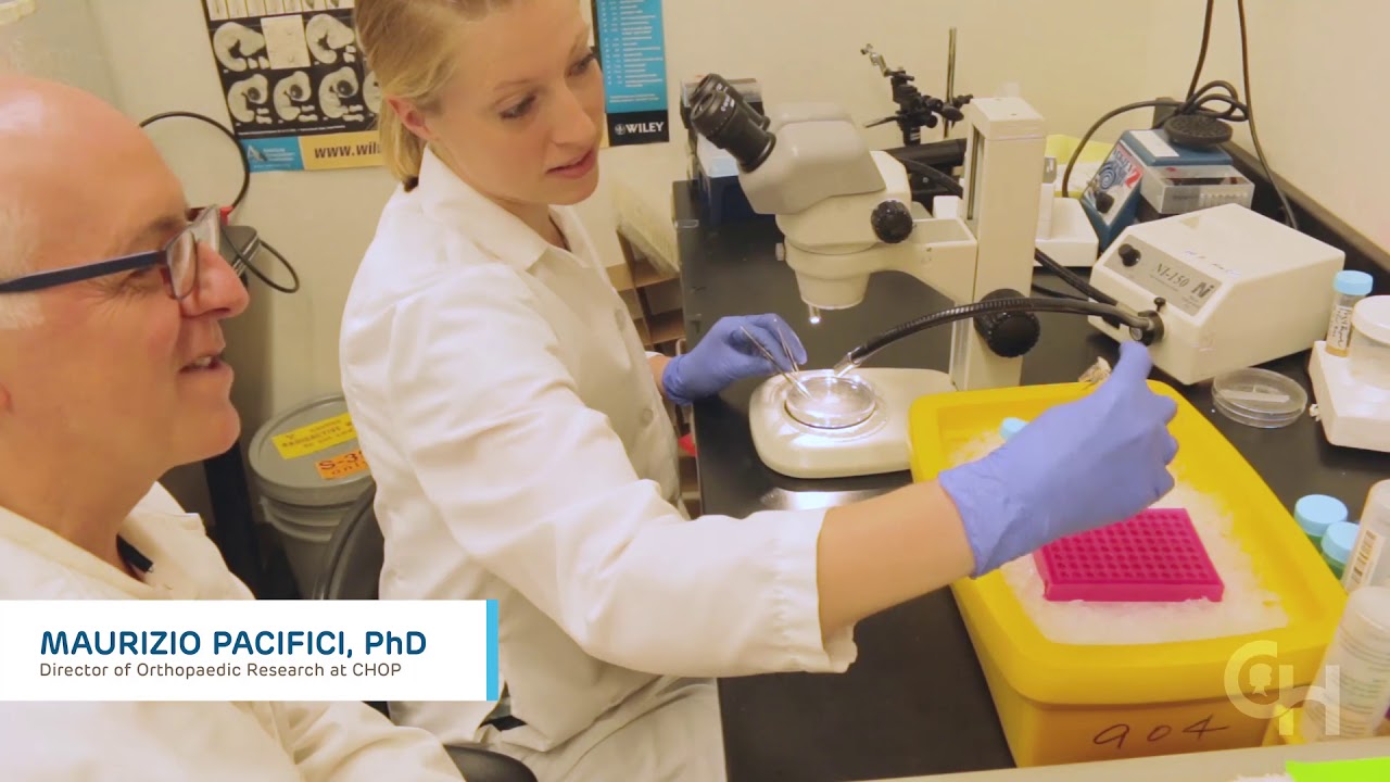 Research Moves Toward the First Drug Treatment for Hereditary Multiple ...