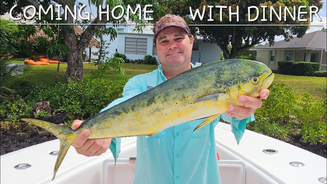 Finally Goin Fishing! Mahi-Mahi Catch Clean Cook - YouTube