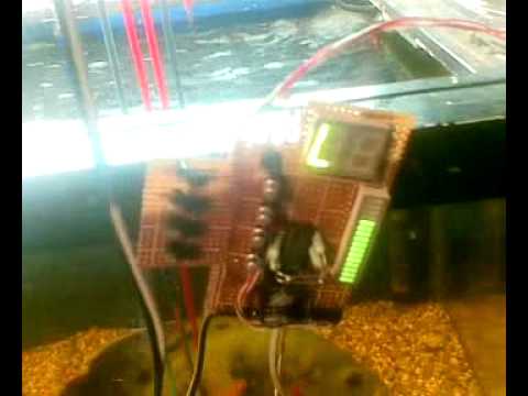 DIY water level controller - YouTube