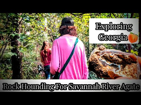 Savannah River Agate Collecting • Georgia Aqueduct And Trails • Short ...