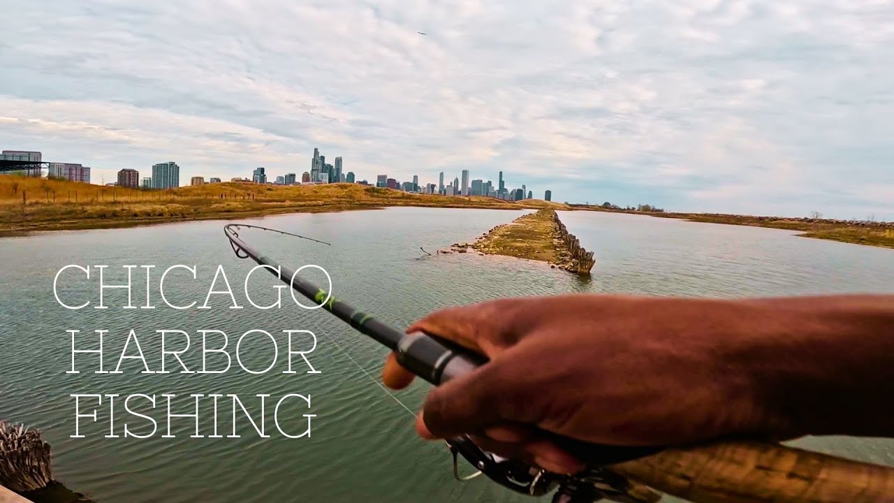 Spring Time Harbor Fishing in the city of Chicago! - YouTube