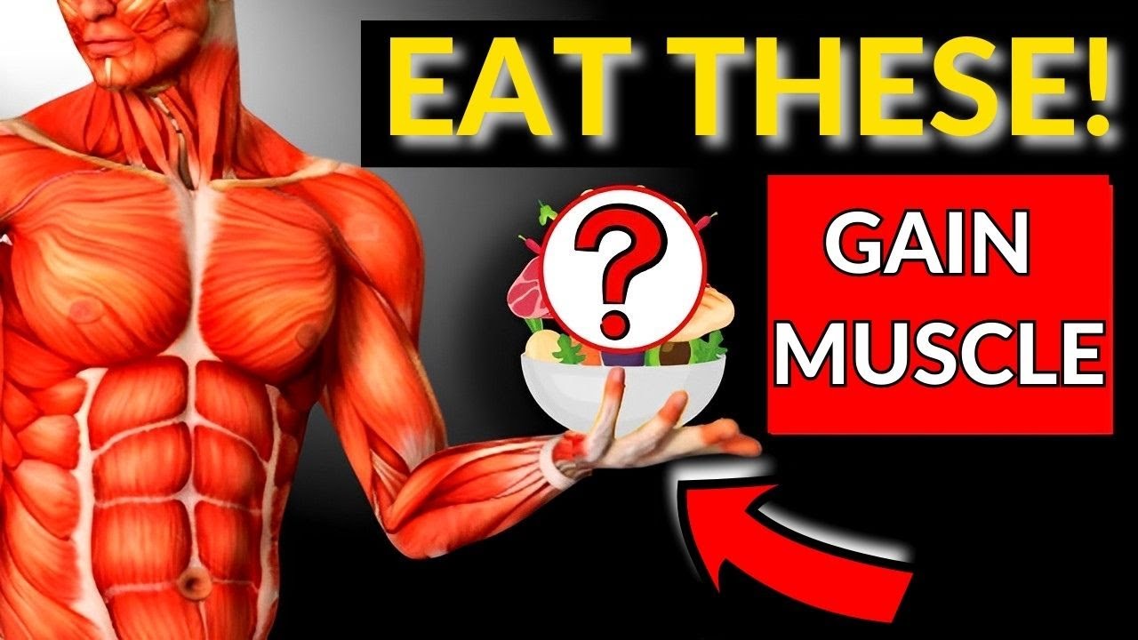 💪🏋️‍♂️12 Best Foods for Building Muscles and Muscular Strength .WORKOUT ...