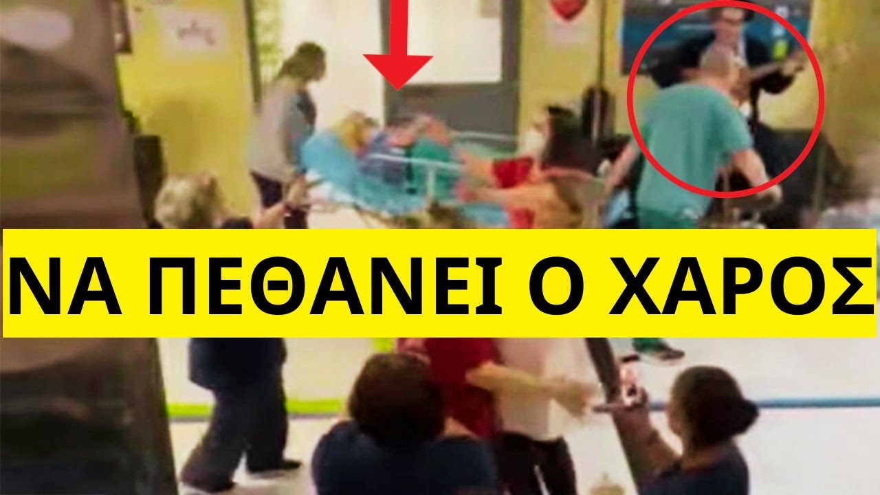 Γλέντι στον Ερυθρό Σταυρό! Σκυλάδικο το νοσοκομείο για τα Χριστούγεννα ...