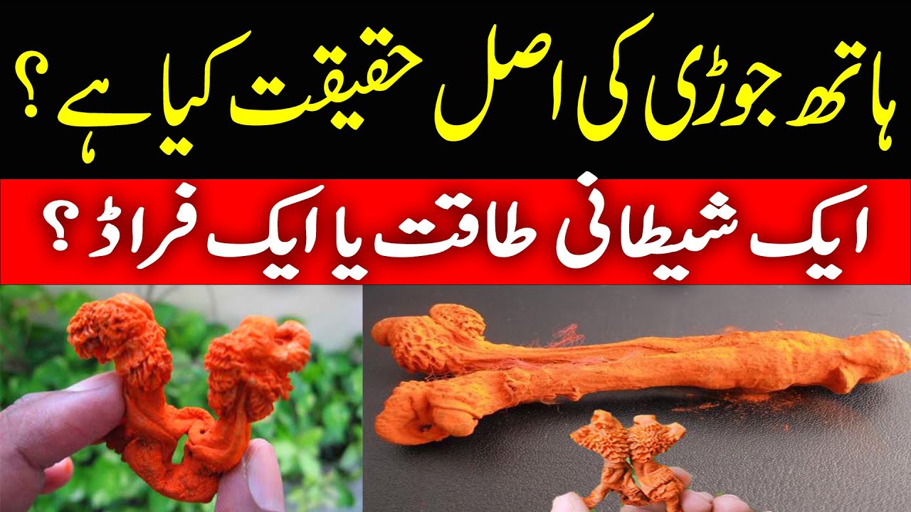 Hath jori Kya Hai | Hatha Jodi Real Information | What is Lucky Hand ...