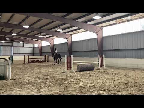 Ella Witt and Stakkair - Indoors practice