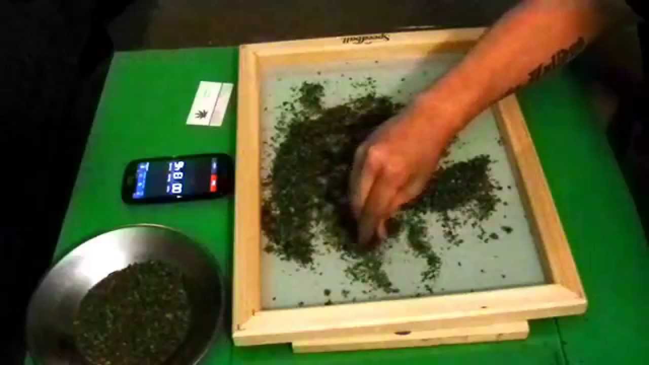 How to extract Kief from Cannabis plant matter - YouTube