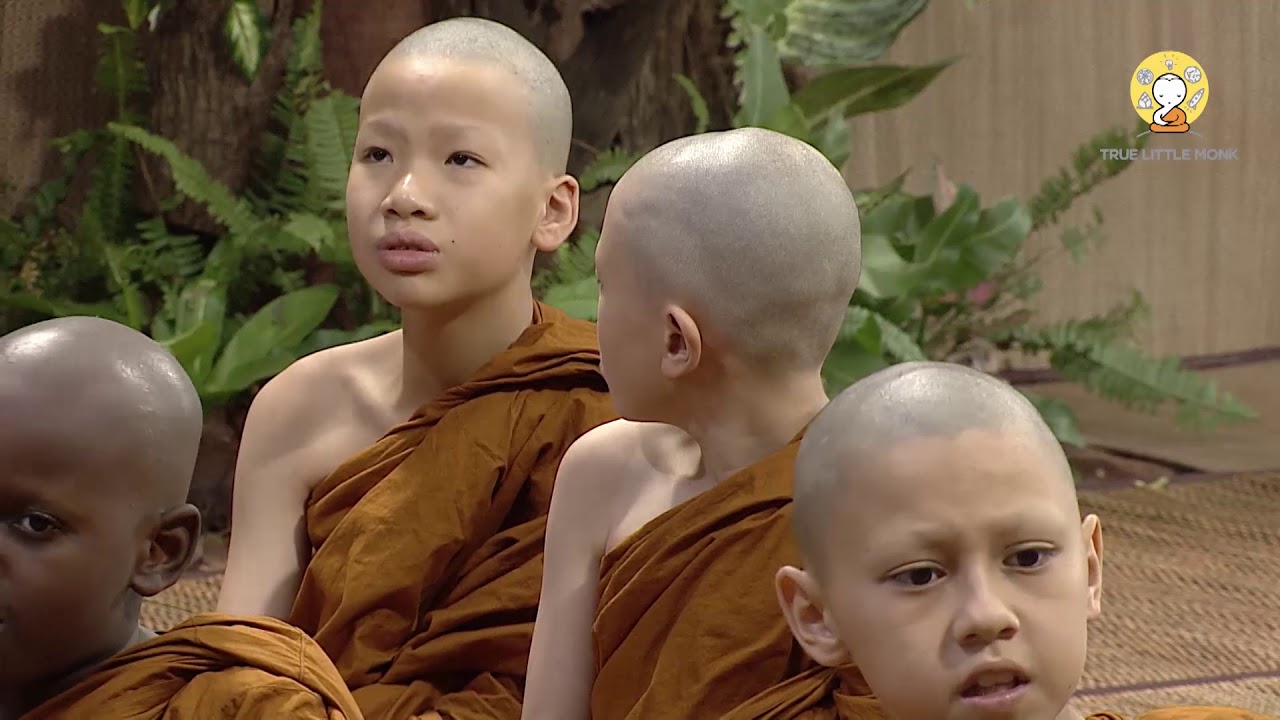 True Little Monk l How to Meditate | Daily Highlight EP.19 - YouTube