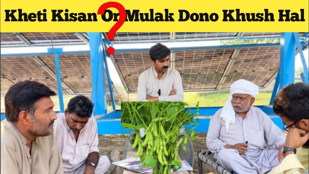 Soyabean ki kheti Waqat ki zarorat/Aisi Kheti Ke Kisan Or Mulak Dono Khushal | - YouTube