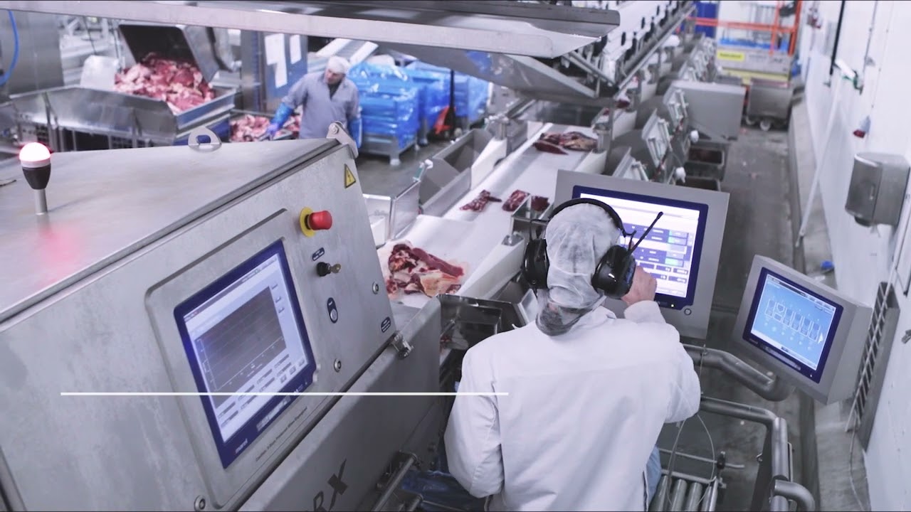 Sensor X Accuro de Marel - YouTube