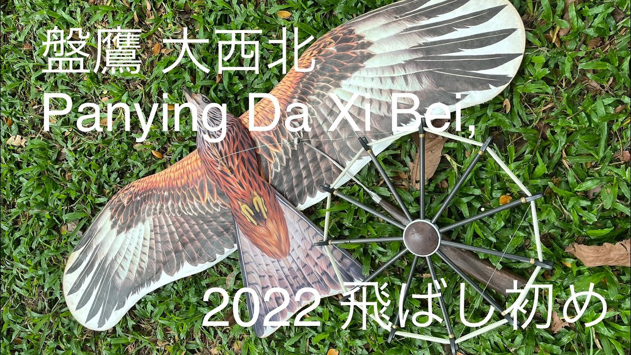 盤鷹 大西北 Panying Kite Da Xi Bei, パンイン 鳥凧 2022 飛ばし初め - YouTube
