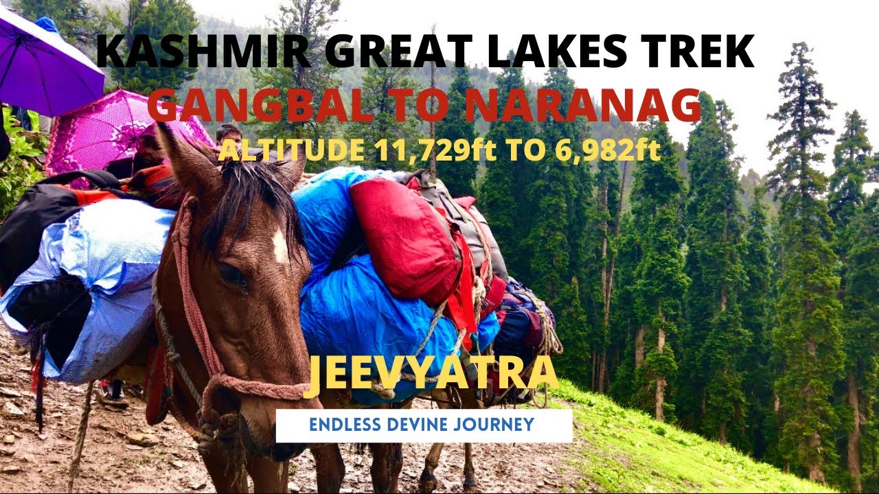 Gangbal to Naranag , Kashmir Great Lakes trek , Last day of KGL - YouTube