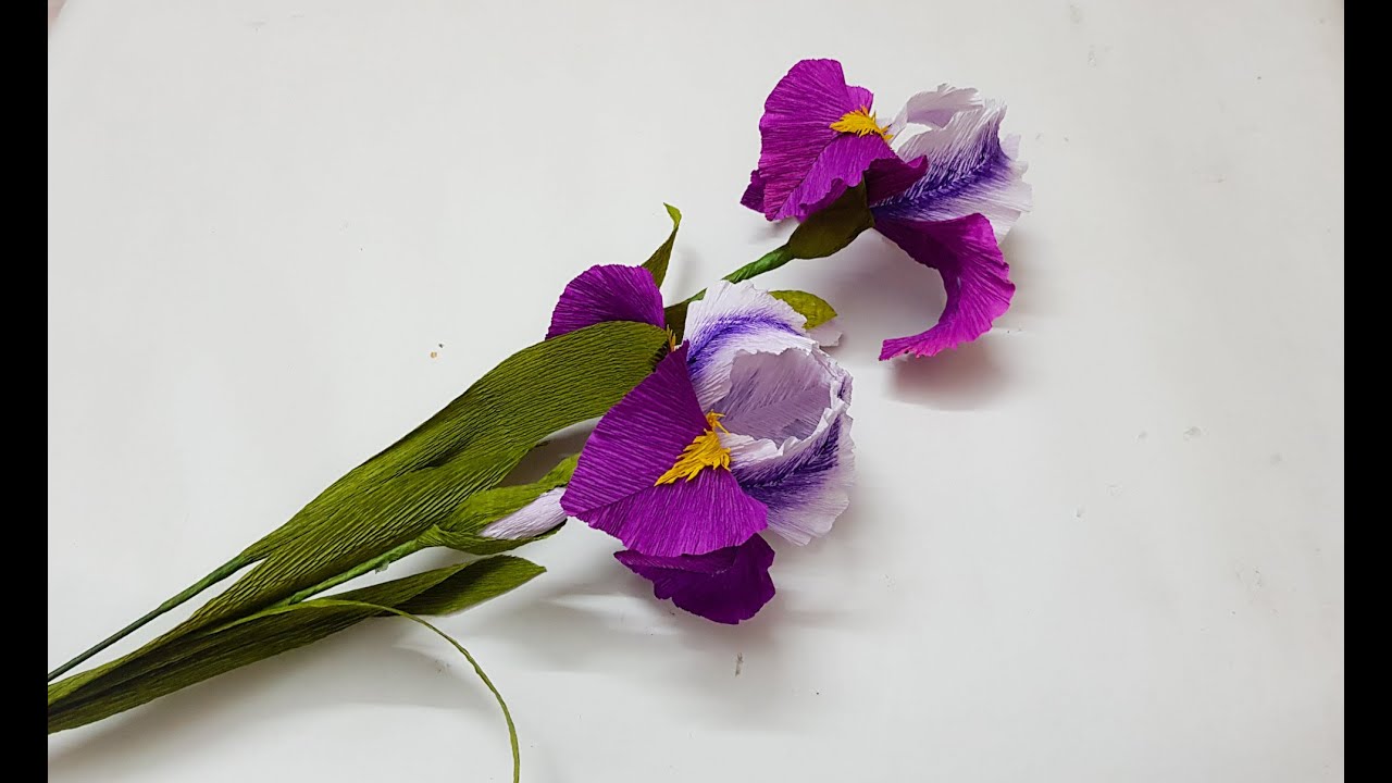 How To Make Iris Paper Flowers - Làm Hoa Diên Vỹ Bằng Giấy Nhún - Lana ...