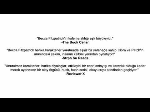 Becca Fitzpatrick - Sessizlik