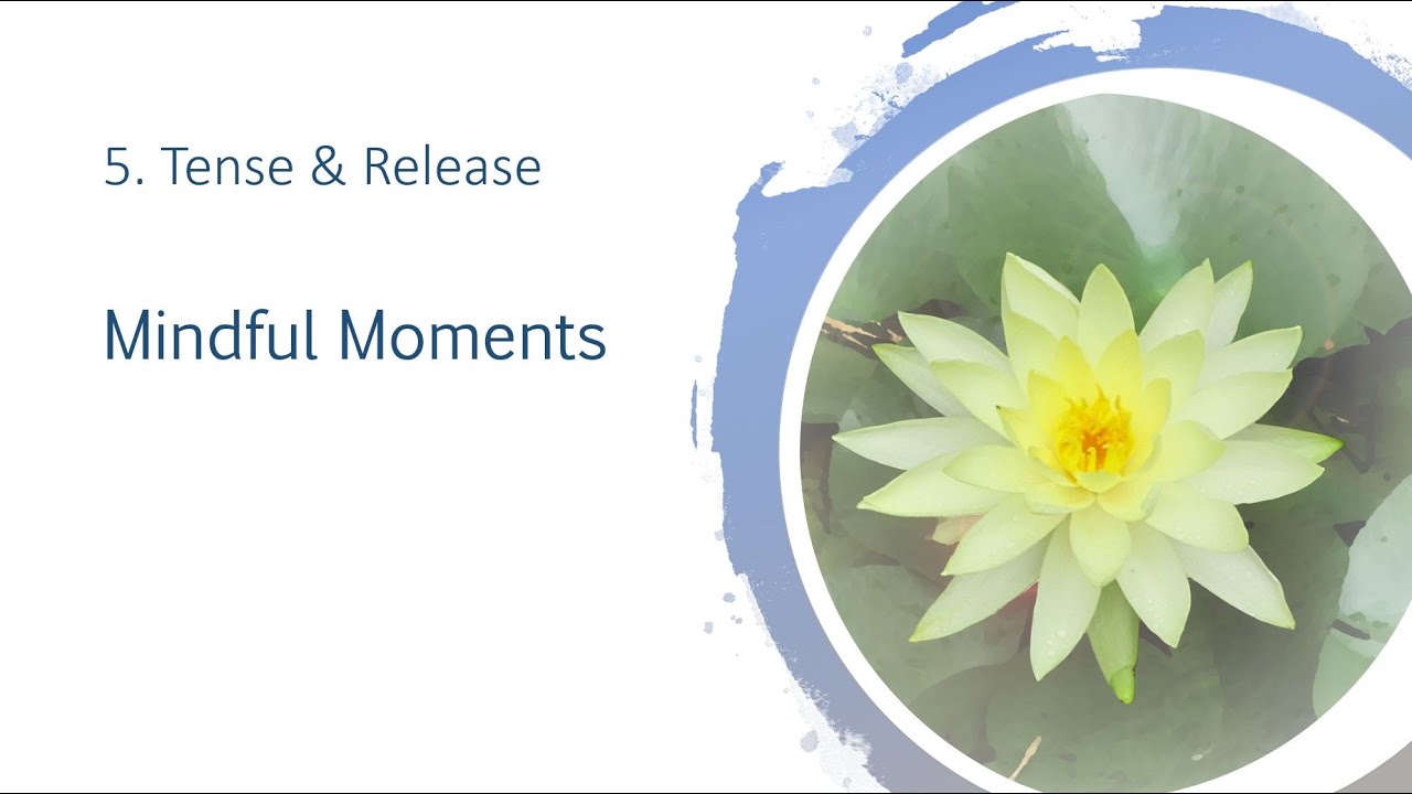 5 Tense & Release - YouTube