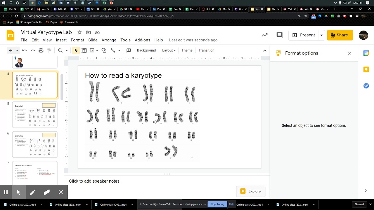 Reading a Karyotype - YouTube