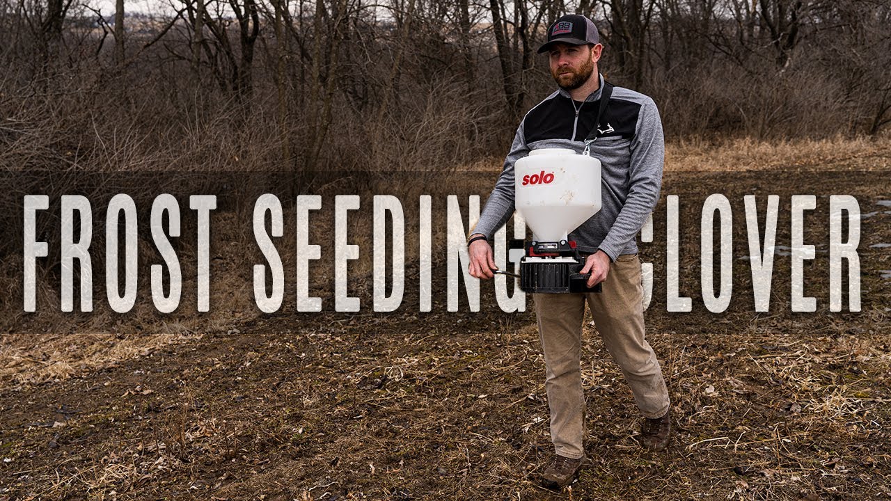 How To Frost Seed Clover - YouTube