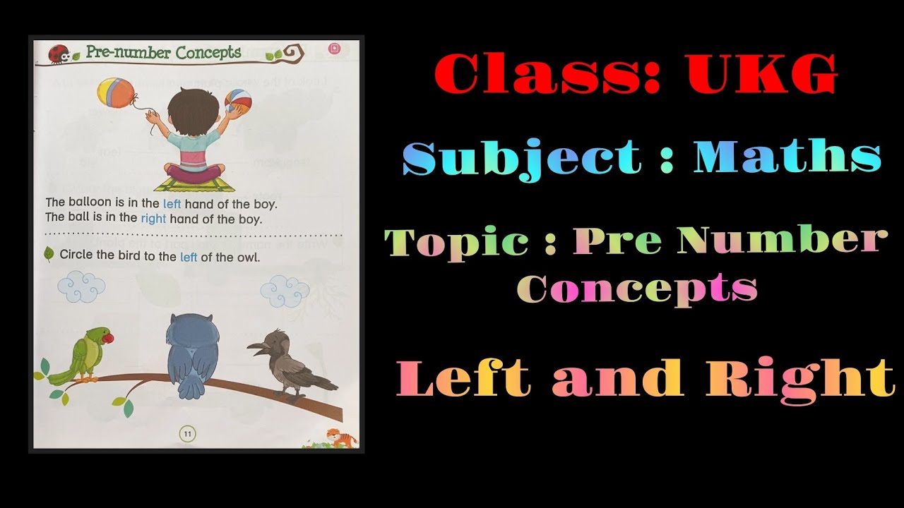 UKG Maths/Pre Number Concept Left and right - YouTube