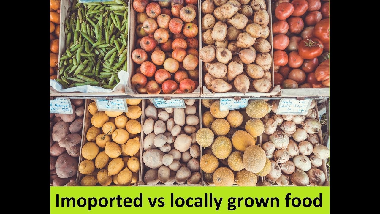 Ayurveda Life style - Eating locally grown Food vs imported Food - YouTube