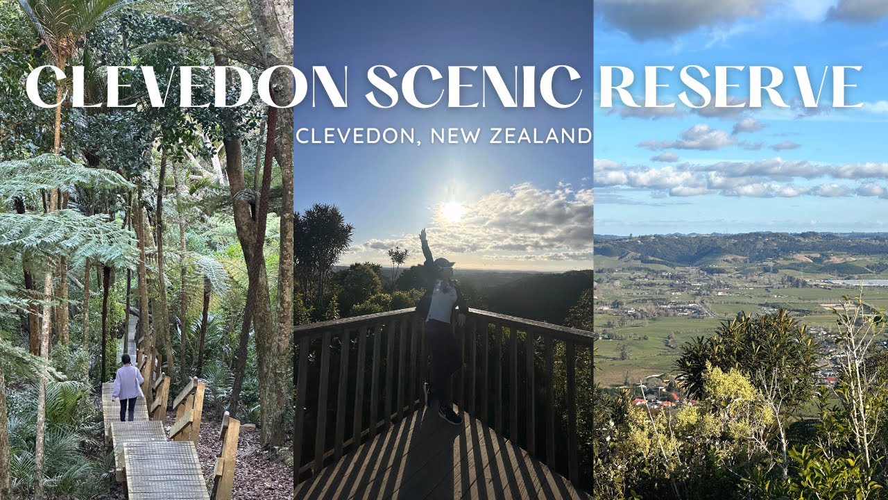 Clevedon Scenic Reserve Loop Track, Auckland, New Zealand | quick hike ...