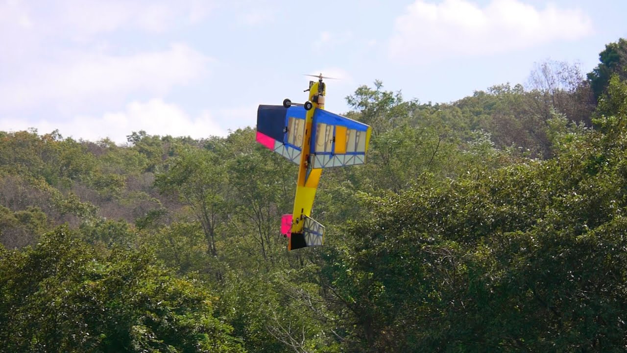 Katana 63'' Fun Fly CRRC 26cc Profile RC Gas engine Airplanes acrobatic ...