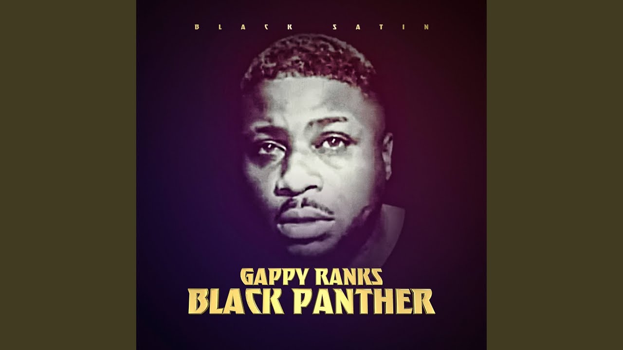 Black Panther (Radio Edit) - YouTube
