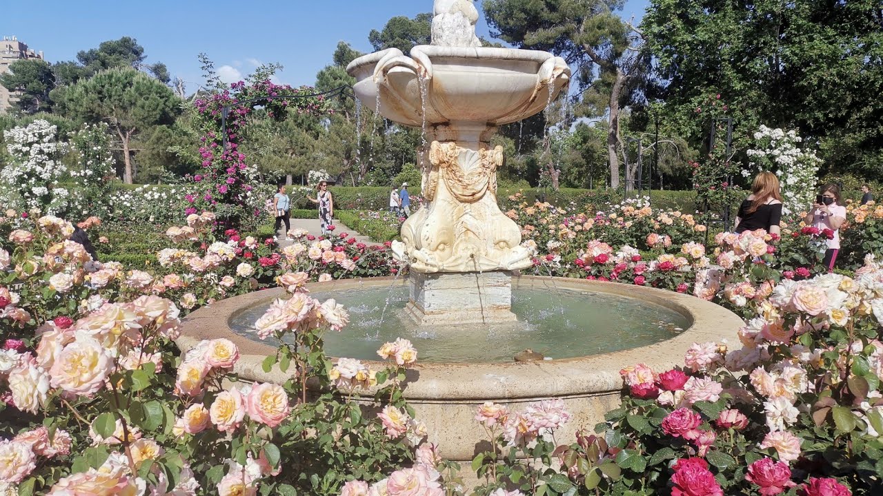 LA ROSALEDA ll PARQUE DEL RETIRO MADRID - YouTube