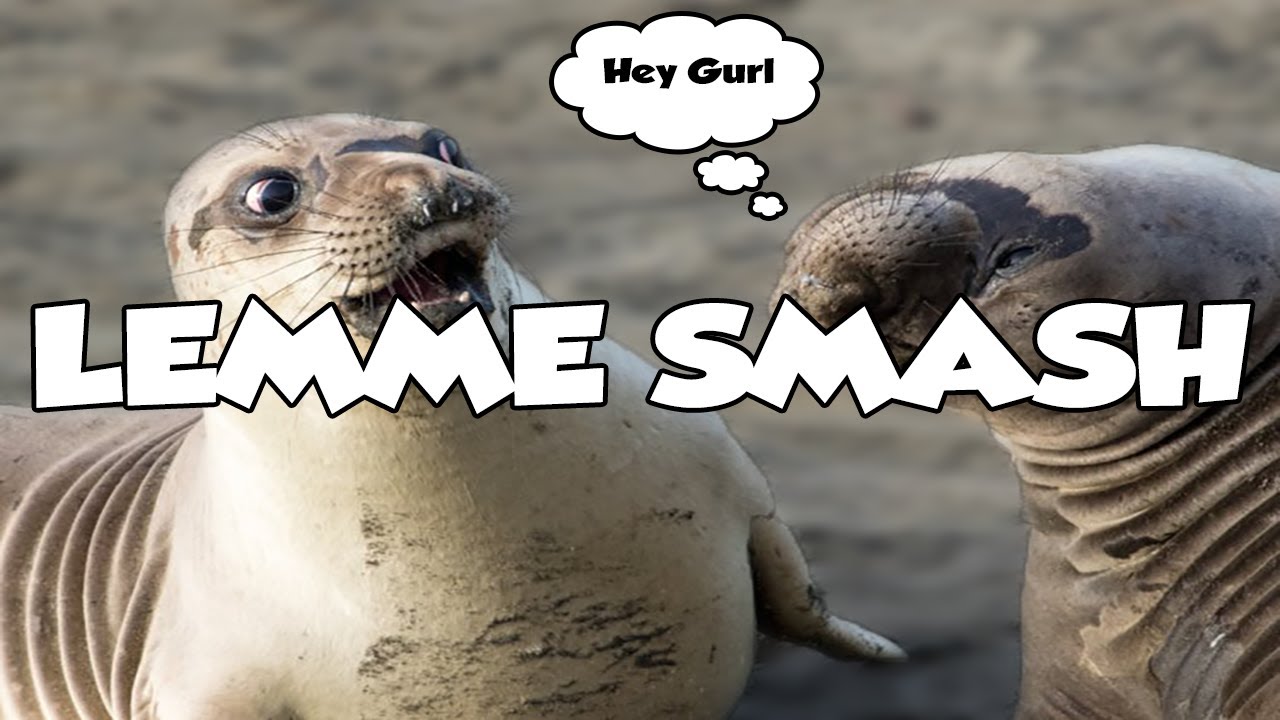 Lemme Smash - Compilation - YouTube