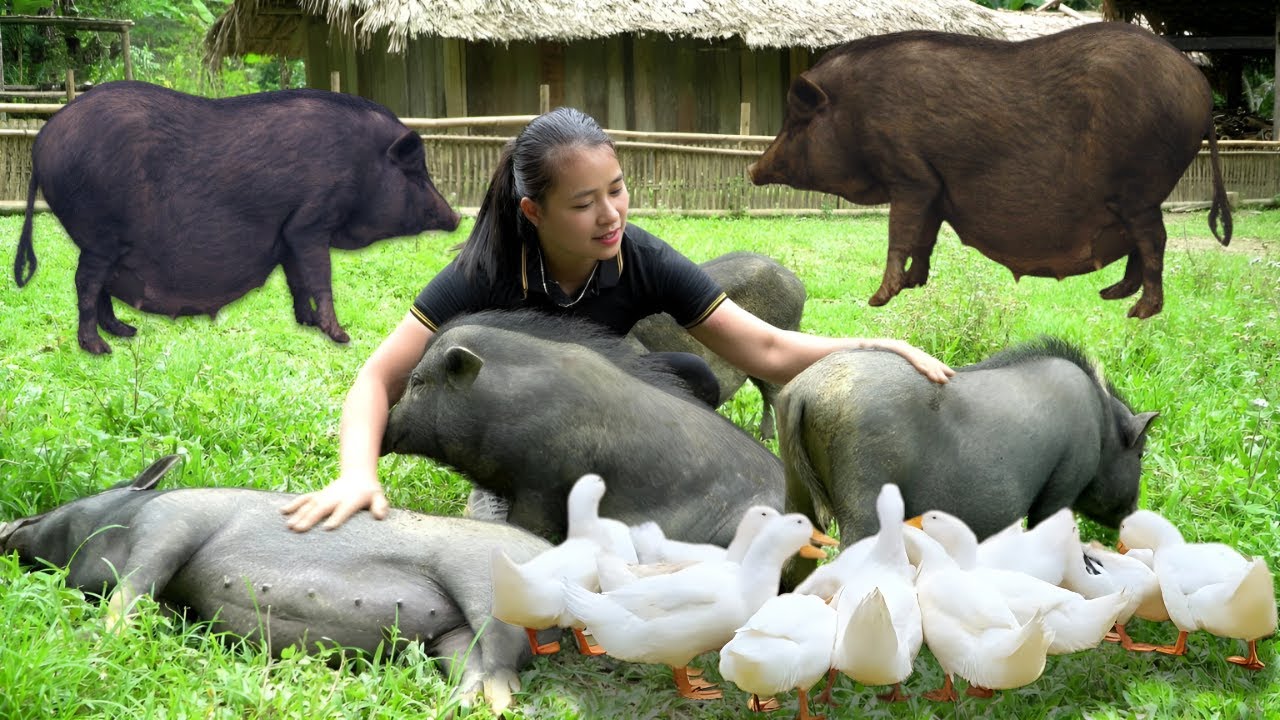 110 Days Building a Jungle Farmhouse & Raising Healthy Livestock | Full ...