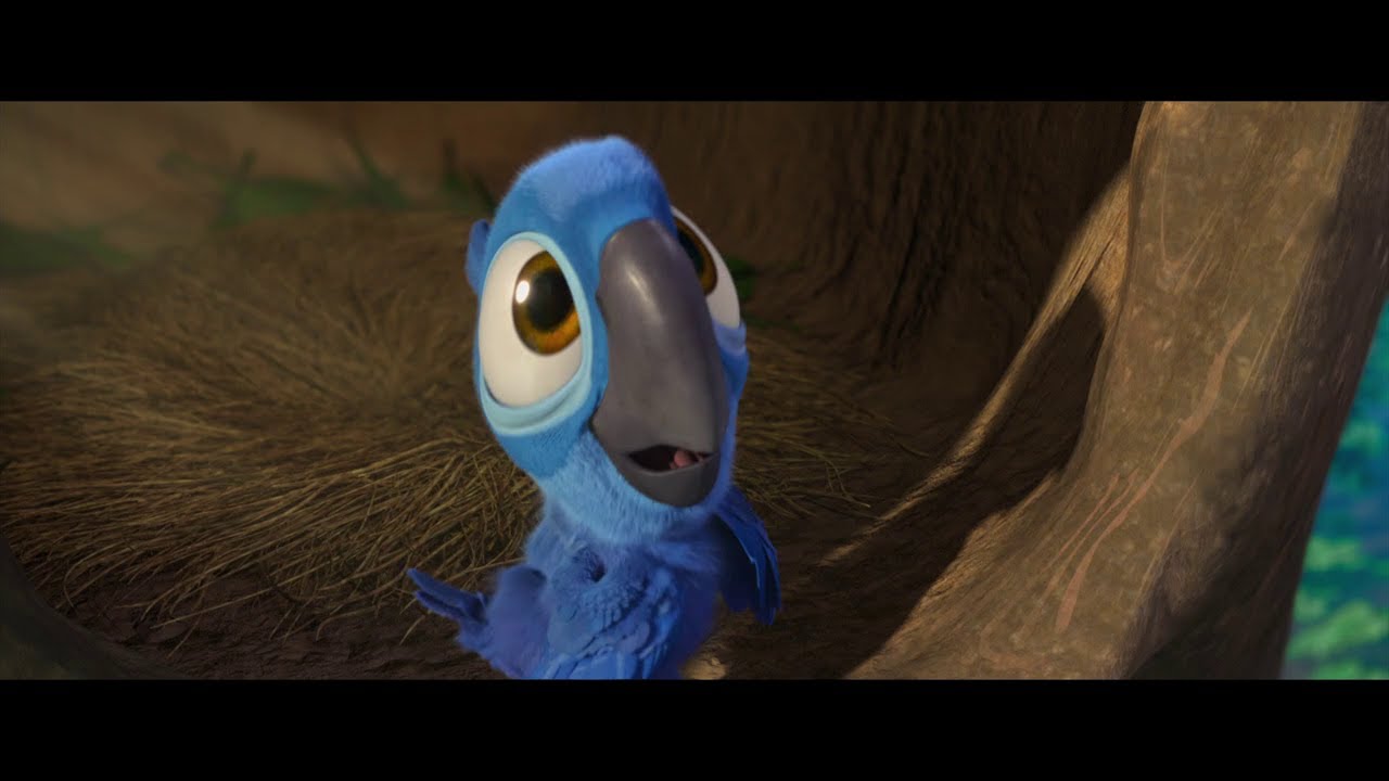 Rio - Real in Rio (European French/Français) - YouTube