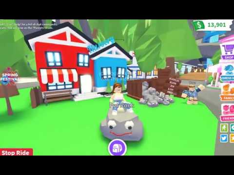 *NEW ROCK PET* IN Roblox Adopt Me! - YouTube