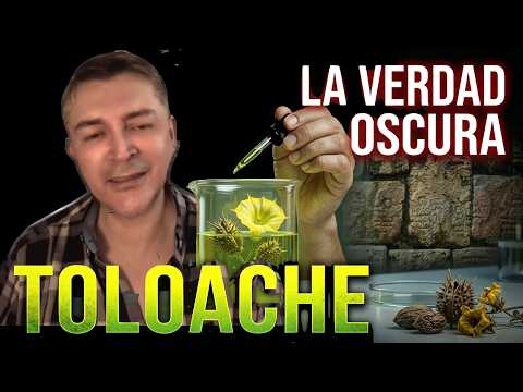 “Toloache: La Planta del Amor Tóxico – Mitos, Rituales y la Oscura Verdad Científica”