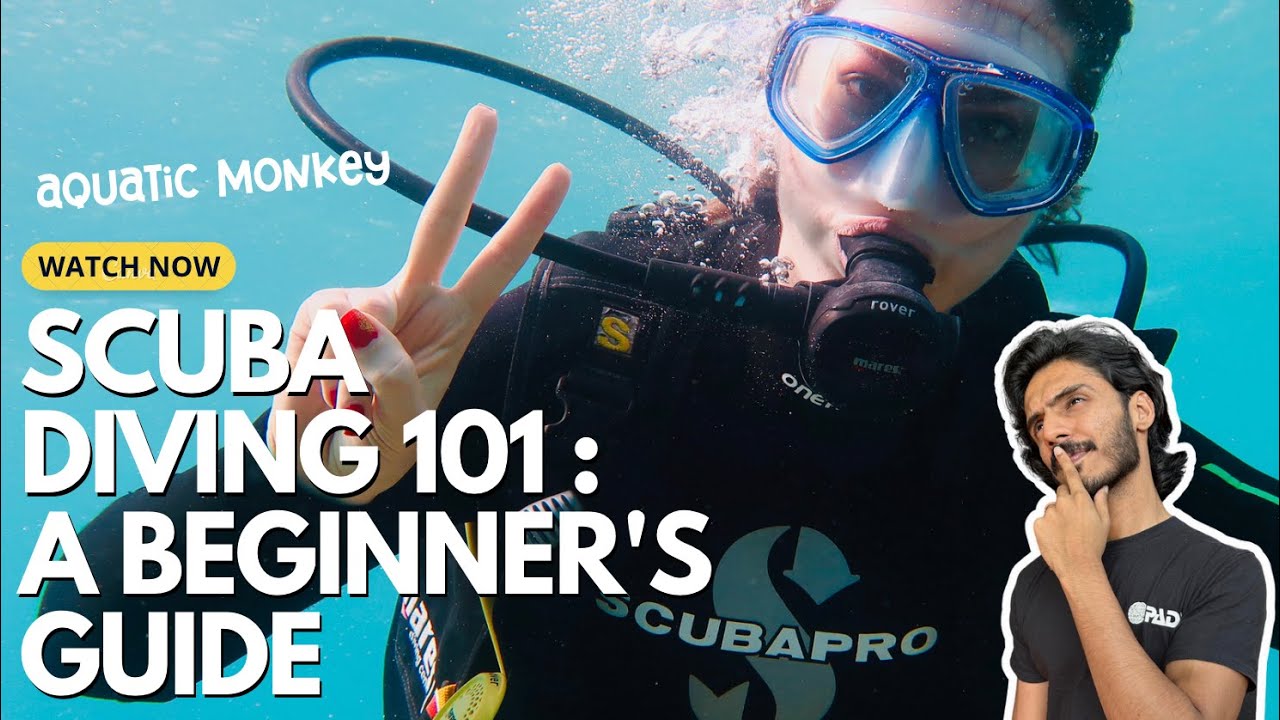 Scuba Diving 101 : A beginner's guide to the PADI Open Water Course - YouTube