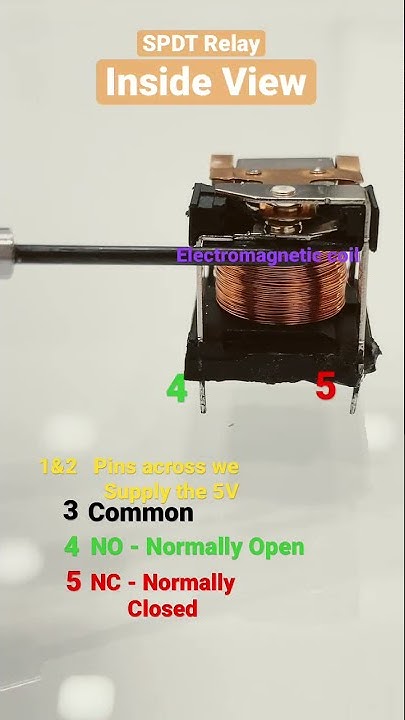 How the SPDT relay looks from inside. Its Working #SPDT #relays # ...