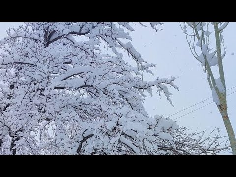 Heavy snowfall in sangrah sankoo Ladakh region about 01ft - YouTube