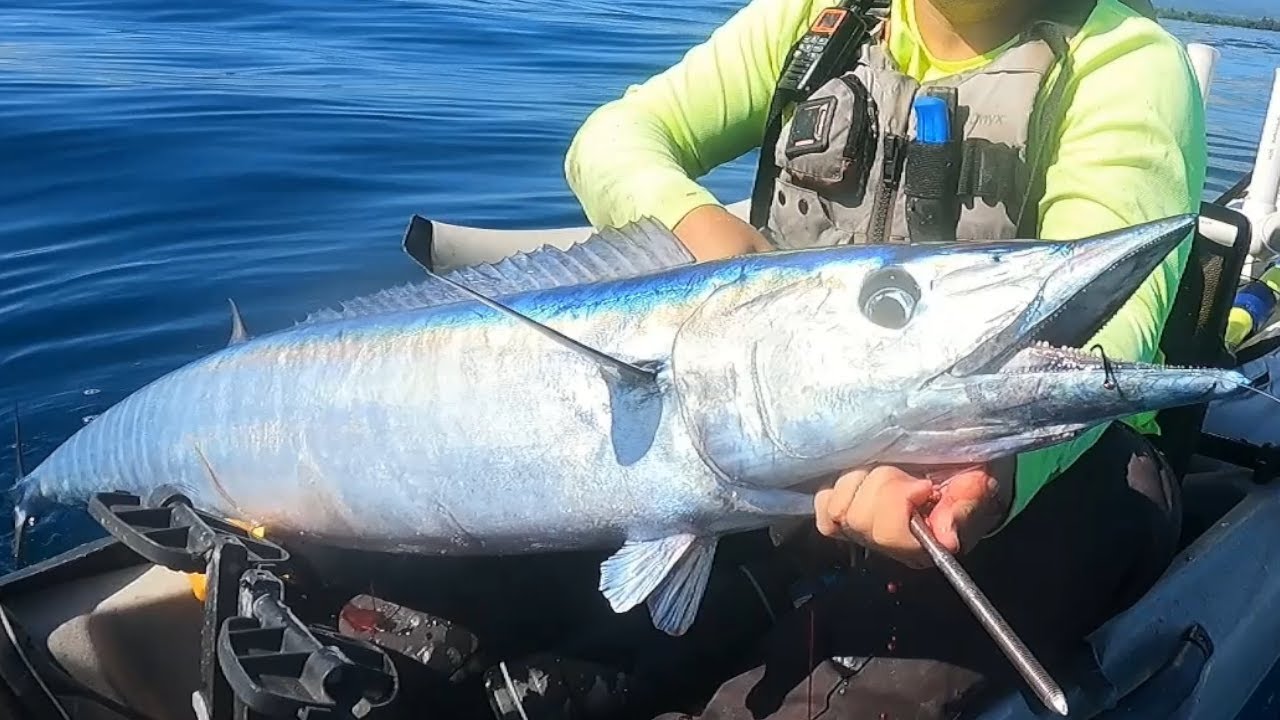 Hawaii Kayak Fishing: Yellowfins and Wahoo on the Flatline - YouTube