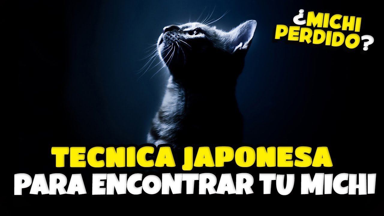 Esta TÉCNICA JAPONESA | TE AYUDARÁ A ENCONTRAR | A TU MICHI PERDIDO ...